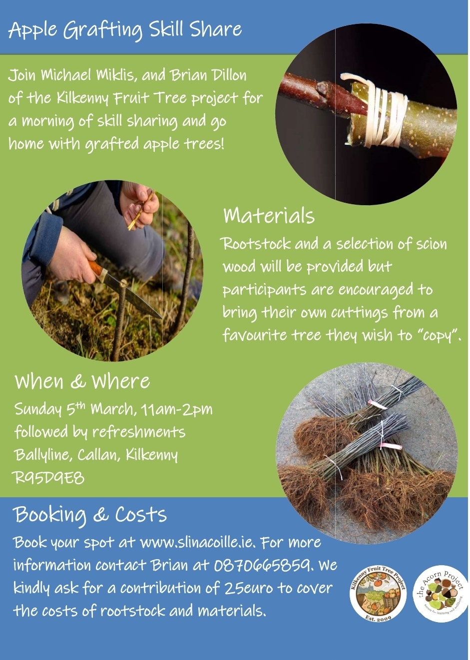 Apple Tree Grafting with Kilkenny Fruit Tree Project - The Acorn Project