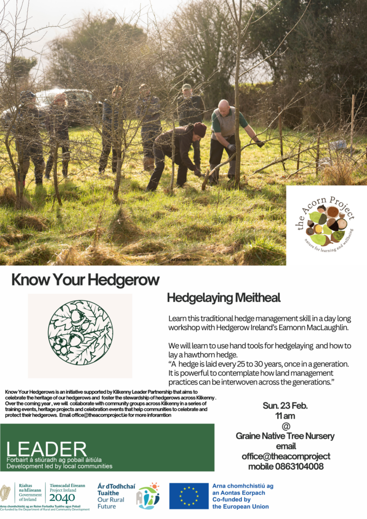 Know Your Hedgerows : Hedgelaying - The Acorn Project